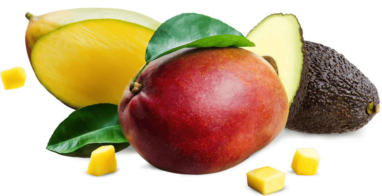 Download Our Products - Avocado - Full Size PNG Image - PNGkit