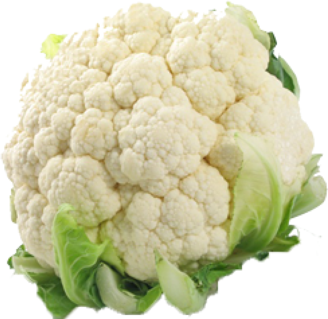 Download Cauliflower - Cello Cauliflower - Full Size PNG Image - PNGkit