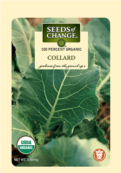 Download Organic Collard Greens Seeds - Seeds Of Change - Full Size PNG ...