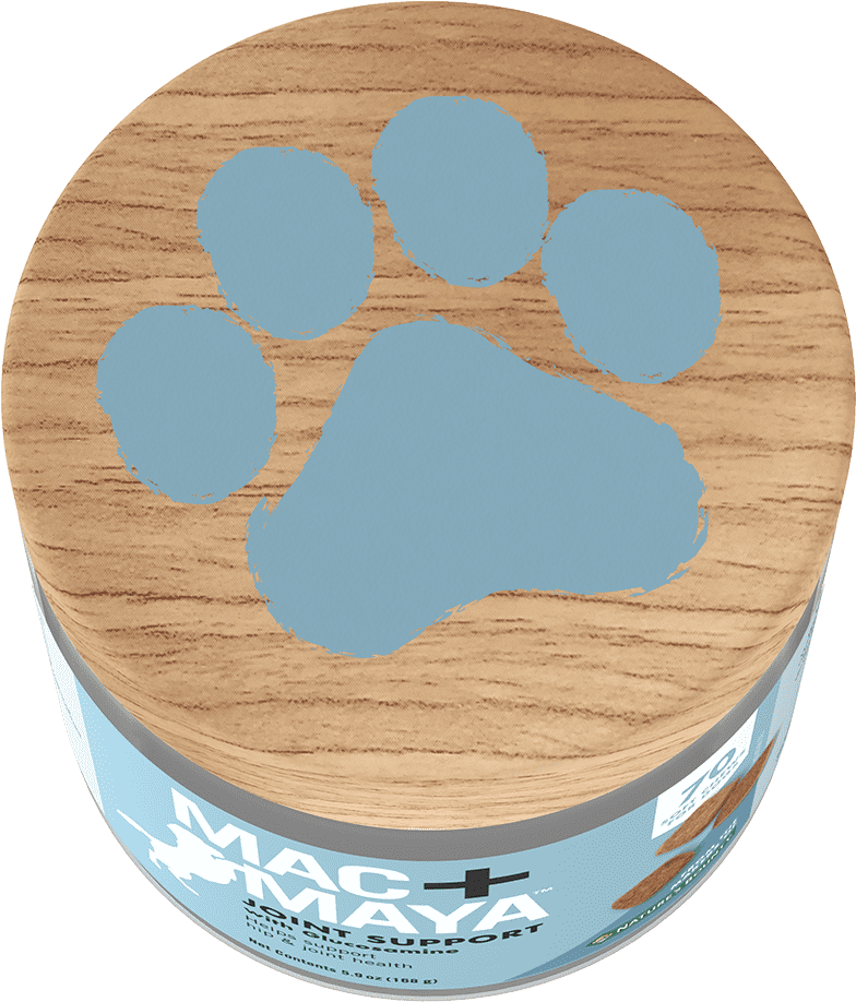 Download Mac Maya Joint Support - Circle - Full Size PNG Image - PNGkit