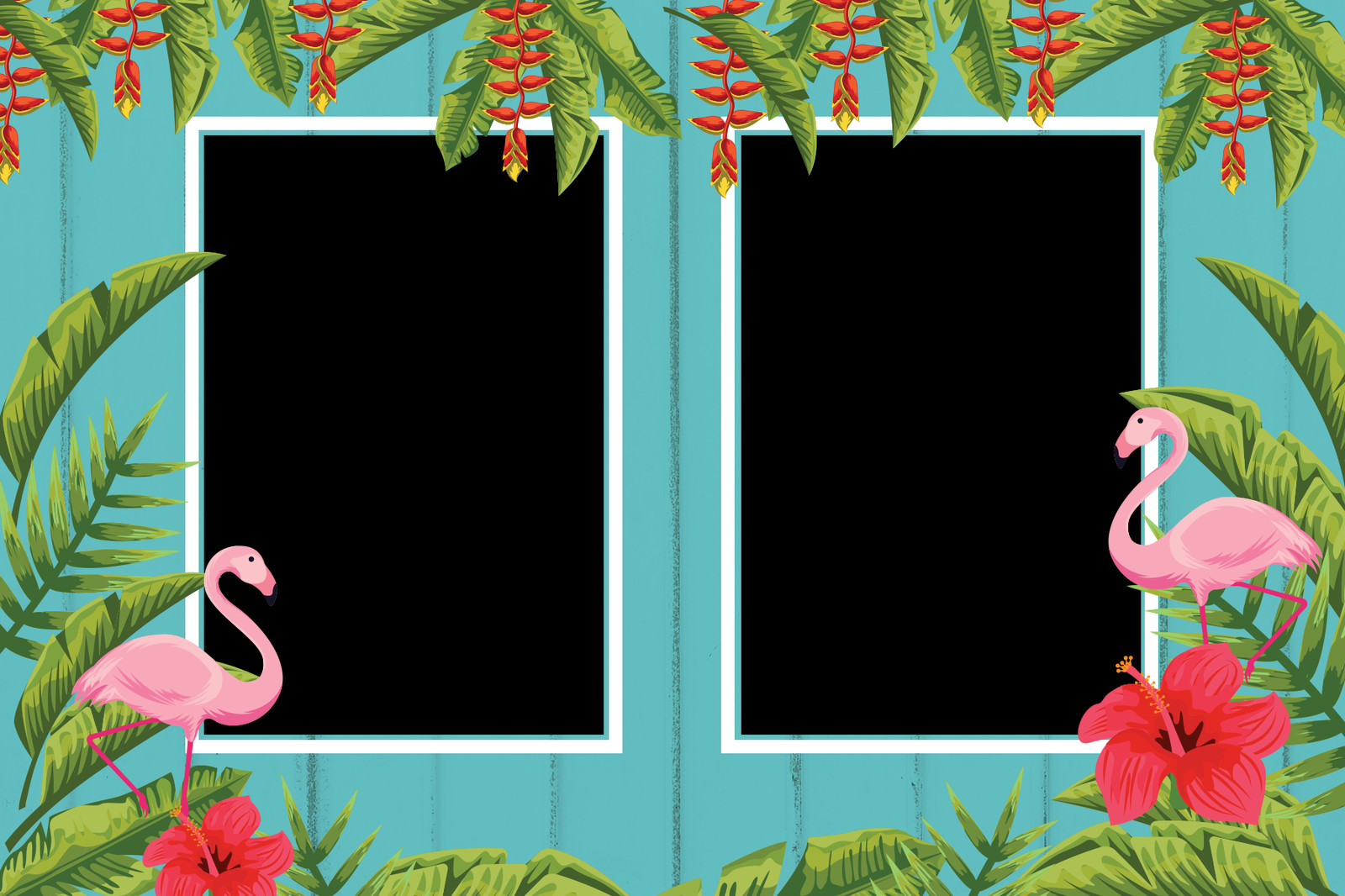 Download Picture Frame - Full Size PNG Image - PNGkit