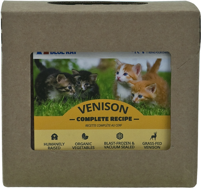 Download Vencat14 - Swift Fox - Full Size PNG Image - PNGkit