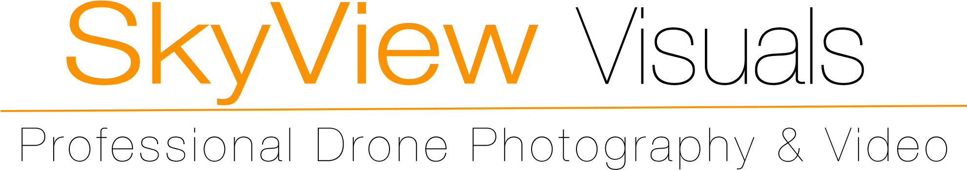 Download Logo - Polyvision - Full Size PNG Image - PNGkit