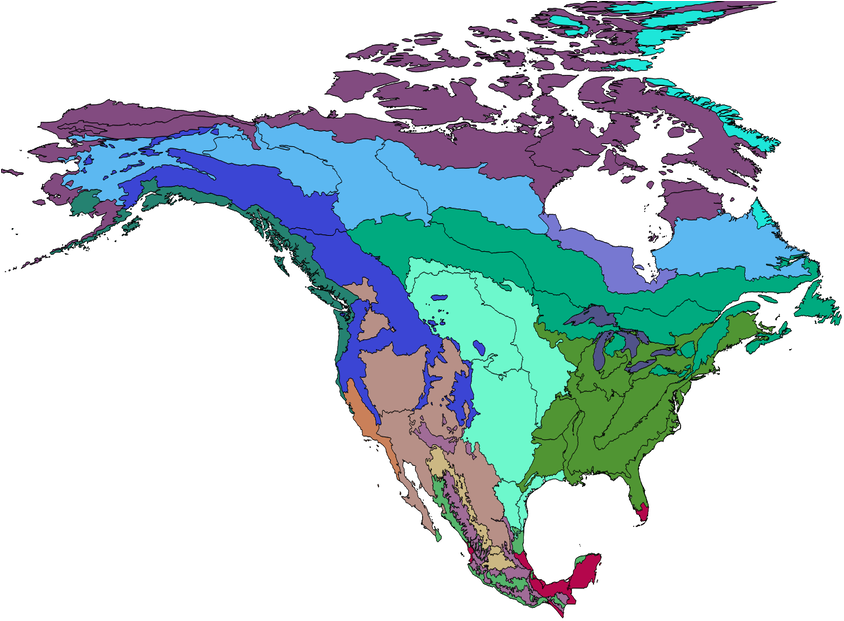 Download Treeline Map - Full Size PNG Image - PNGkit