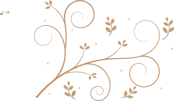 Download Small - Vine Line Drawing Flower - Full Size PNG Image - PNGkit