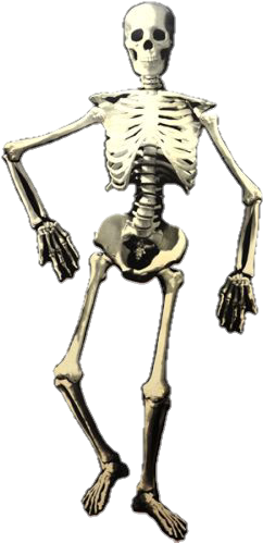 Download Spooky Scary Skeletons Vector - Spooky Scary Skeletons - Full ...