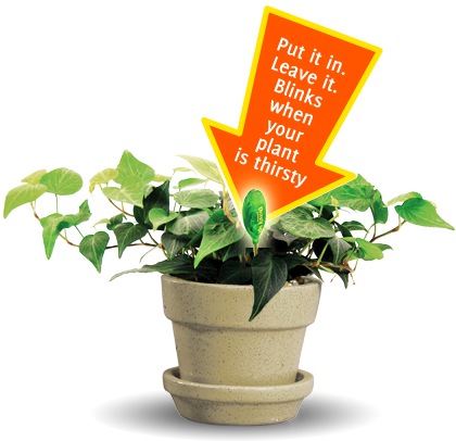 Download Intuitive Plant Moisture Sensor - Houseplant - Full Size PNG ...