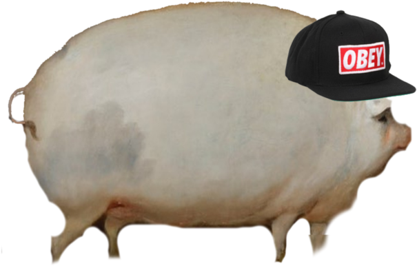 Download Newest Uploads - Oats Pigs Png - Full Size PNG Image - PNGkit