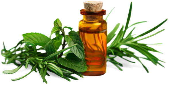 Download Essential Oils - Essential Oil - Full Size PNG Image - PNGkit