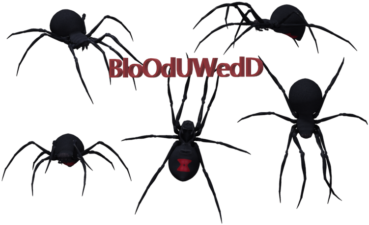 Download Spider Drawing Side View - Full Size PNG Image - PNGkit