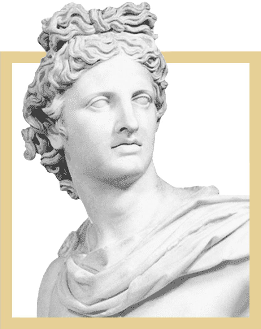 Download Combination Of Comfort And Luxury - Roman Sculpture Head Png ...