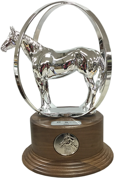 Download Aqha Reserve World Champion Duplicate Trophy - Aqha World Show ...