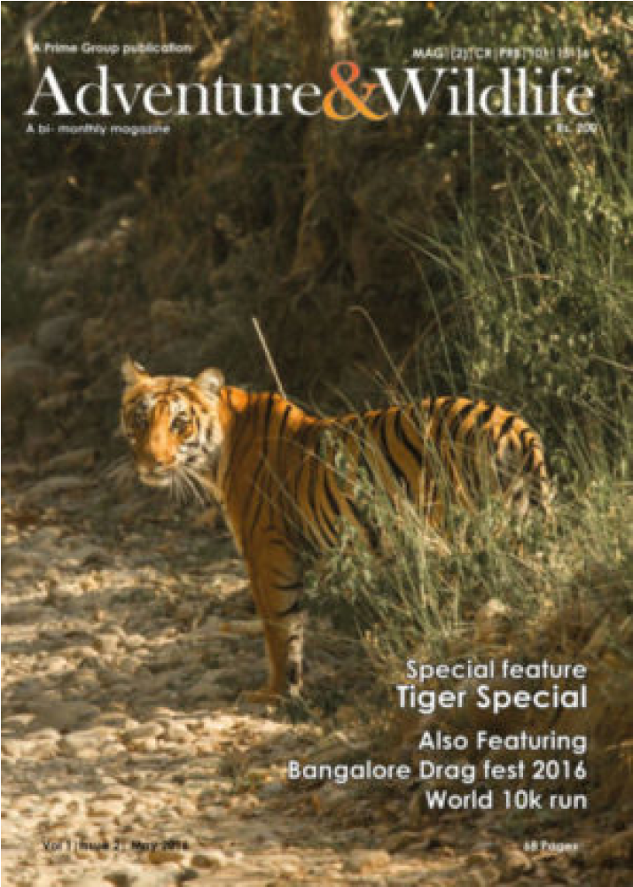 Download Magazine Cover Pictures - Bengal Tiger - Full Size PNG Image ...