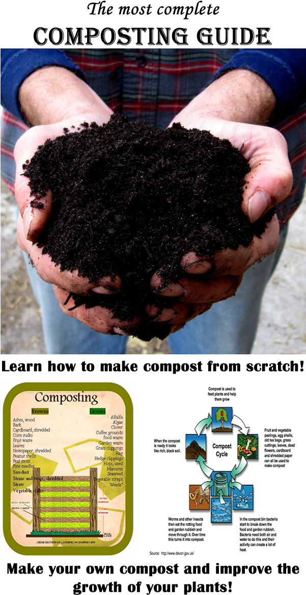 Download The Best Composting Guide Ever Learn Everything About - Composting - Full Size PNG ...