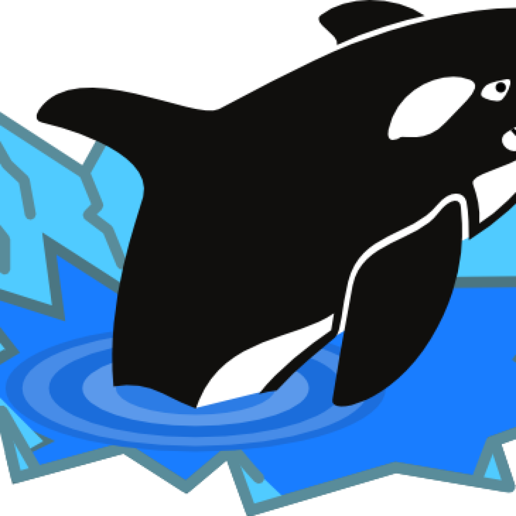 Download Orca Whale Clip Art Orca Whale Clipart At Getdrawings - Killer ...
