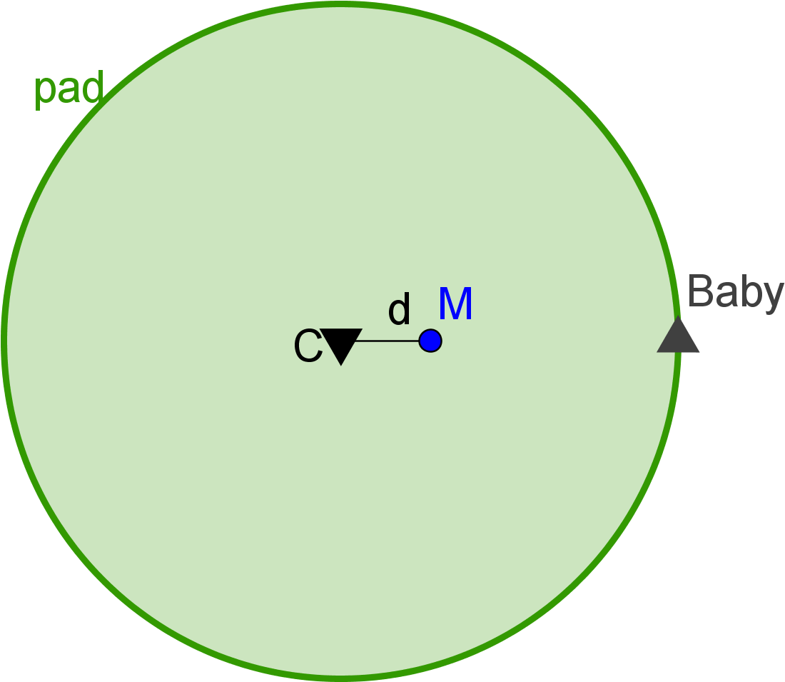 Download As Time Goes On, The Baby Moves Around The Edge, And - Circle ...