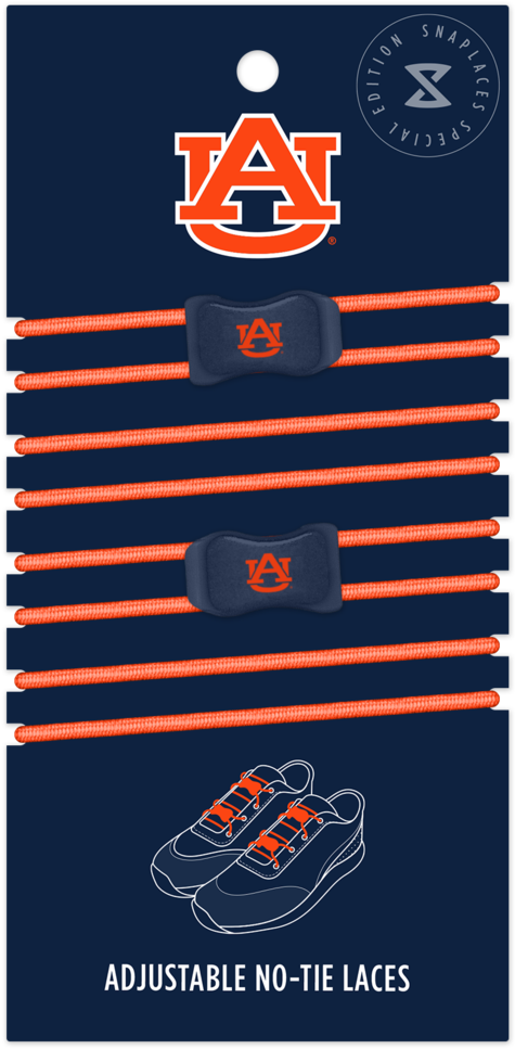 Download Auburn - Samford Hall - Full Size PNG Image - PNGkit