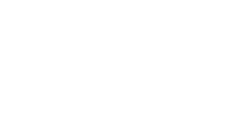 Download Twitter White Bird Logo - Full Size PNG Image - PNGkit