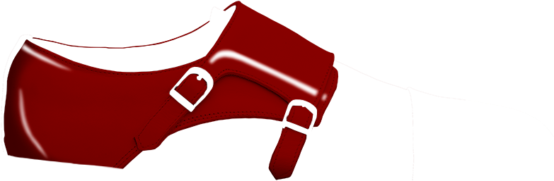 Download Charol-rojo Fresa - Full Size PNG Image - PNGkit