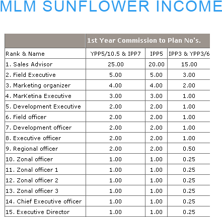 Download Mlm Income Plan - Full Size PNG Image - PNGkit