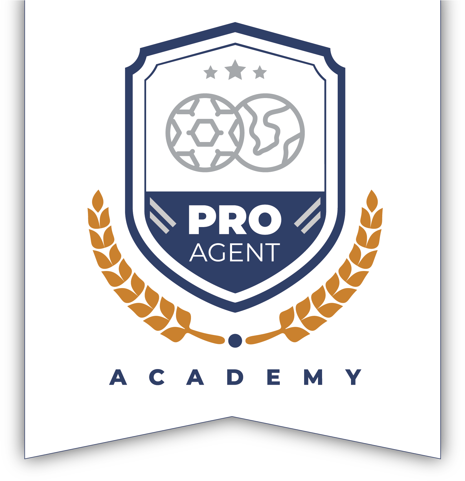 Download Pro Agent Academy - Skull Brake Disc - Full Size PNG Image ...