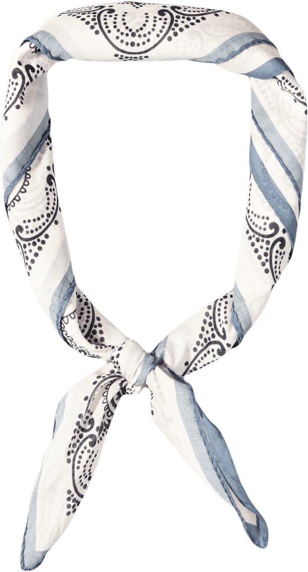 Download Drake'sblue Floral Paisley Print Cotton Bandana - Full Size ...