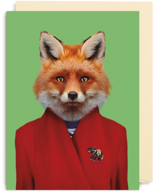 Download Red Fox - Full Size PNG Image - PNGkit