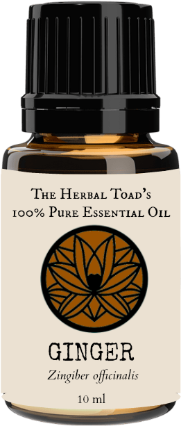 Download Sing Ginger - Full Size PNG Image - PNGkit