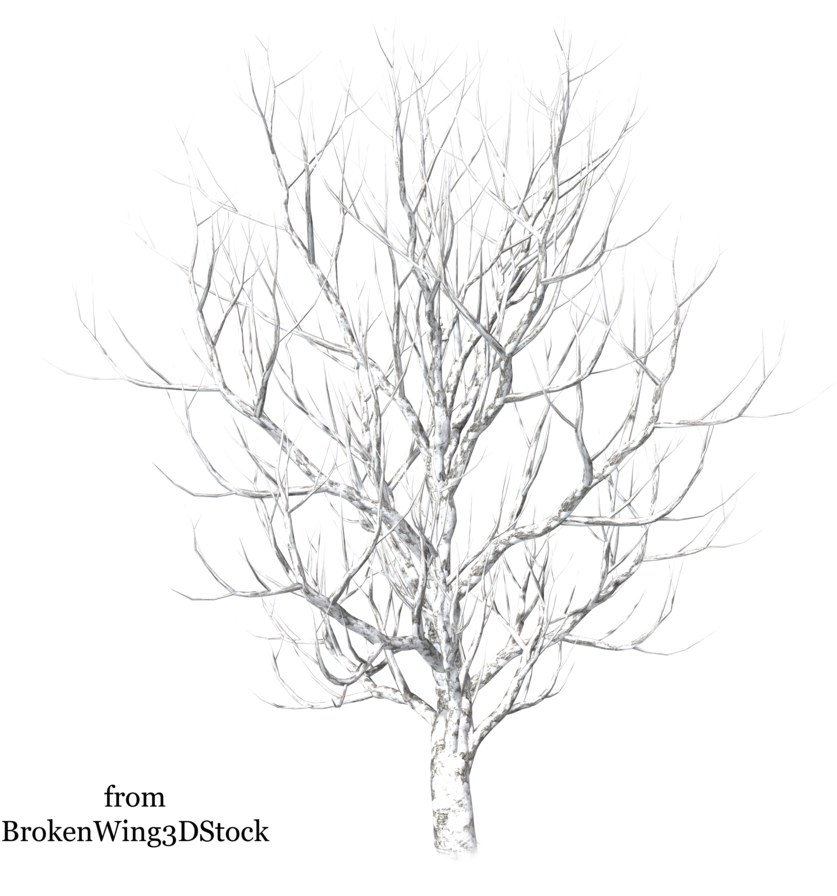 Download Tree In Winter Drawing At Getdrawings - Winter Snow Tree Png ...
