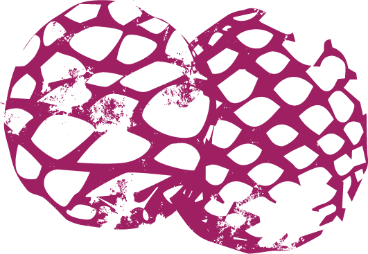 Download Pinas - Full Size PNG Image - PNGkit