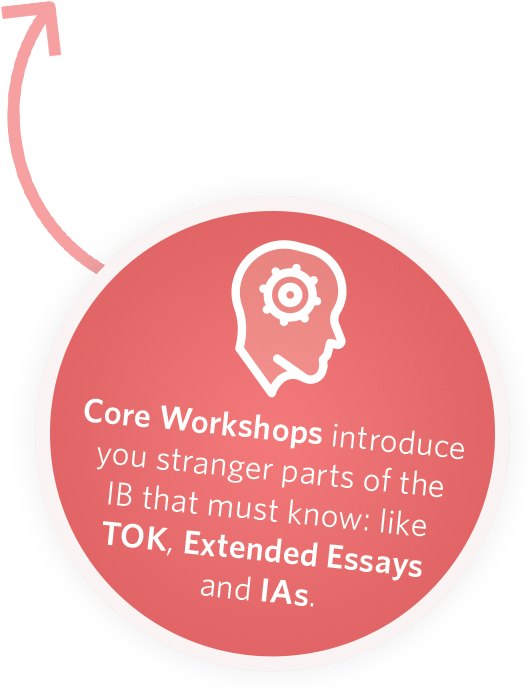 Download Transparent Pre-ib Course Structure - Illustration - PNGkit