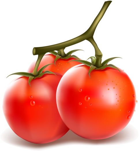 Download Tomate - Free Vector Vegetables - Full Size PNG Image - PNGkit