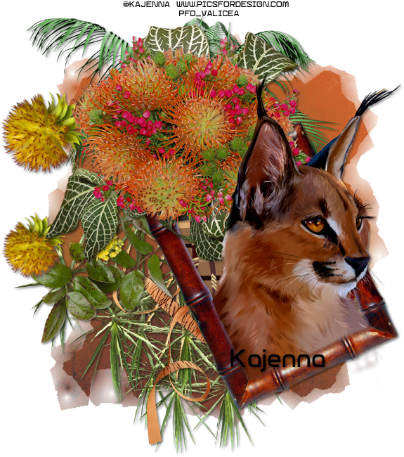 Download Kajenna Newest Tubes - Swift Fox - Full Size PNG Image - PNGkit