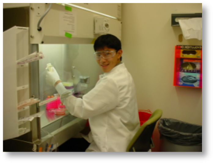 Download Internship - Clinic - Full Size PNG Image - PNGkit