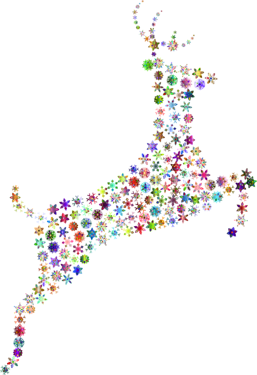 Download All Photo Png Clipart - Illustration - Full Size PNG Image ...