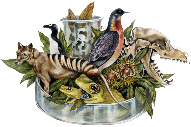 Download Cincinnati - Group Of Extinct Animals - Full Size PNG Image ...