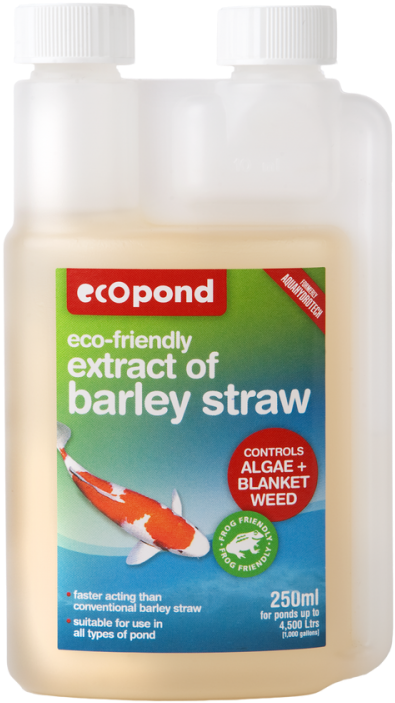 Download Extract Of Barley Straw - Koi - Full Size PNG Image - PNGkit