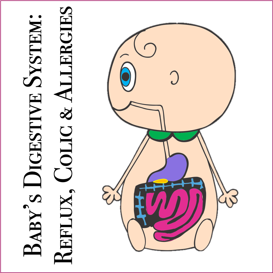Download Transparent Baby's Digestive System & Reflux - Cartoon - PNGkit