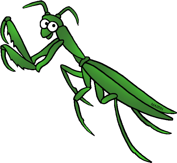 Download Praying Mantis Clipart Real - Praying Mantis Clipart - Full ...