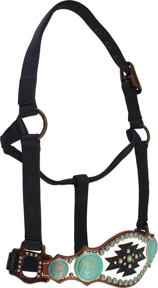 Download Horse Halters, Western Tack, Horse Tack, Show Horses, - Halter ...