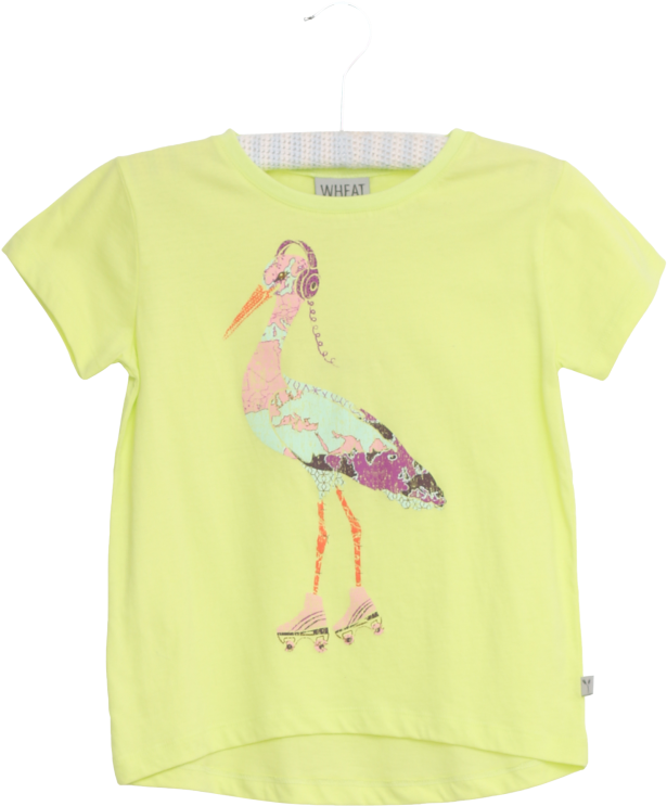 Download Marabou Stork - Full Size PNG Image - PNGkit