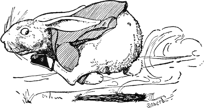 Download Peter Rabbit Albert 28 - Cartoon - Full Size PNG Image - PNGkit