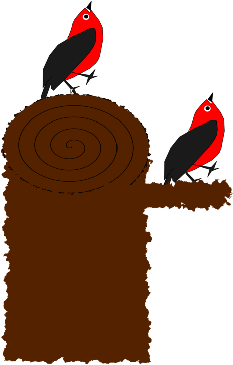 Download Woodpecker Computer Icons Bird Rooster Drawing - Sketsa Burung ...