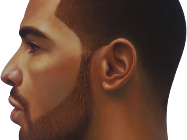 Download Drake Clipart - Portable Network Graphics - Full Size PNG ...