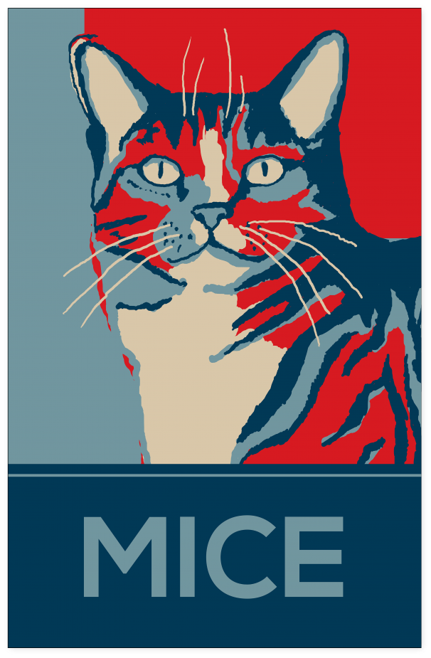 Download Domestic Short-haired Cat - Full Size PNG Image - PNGkit