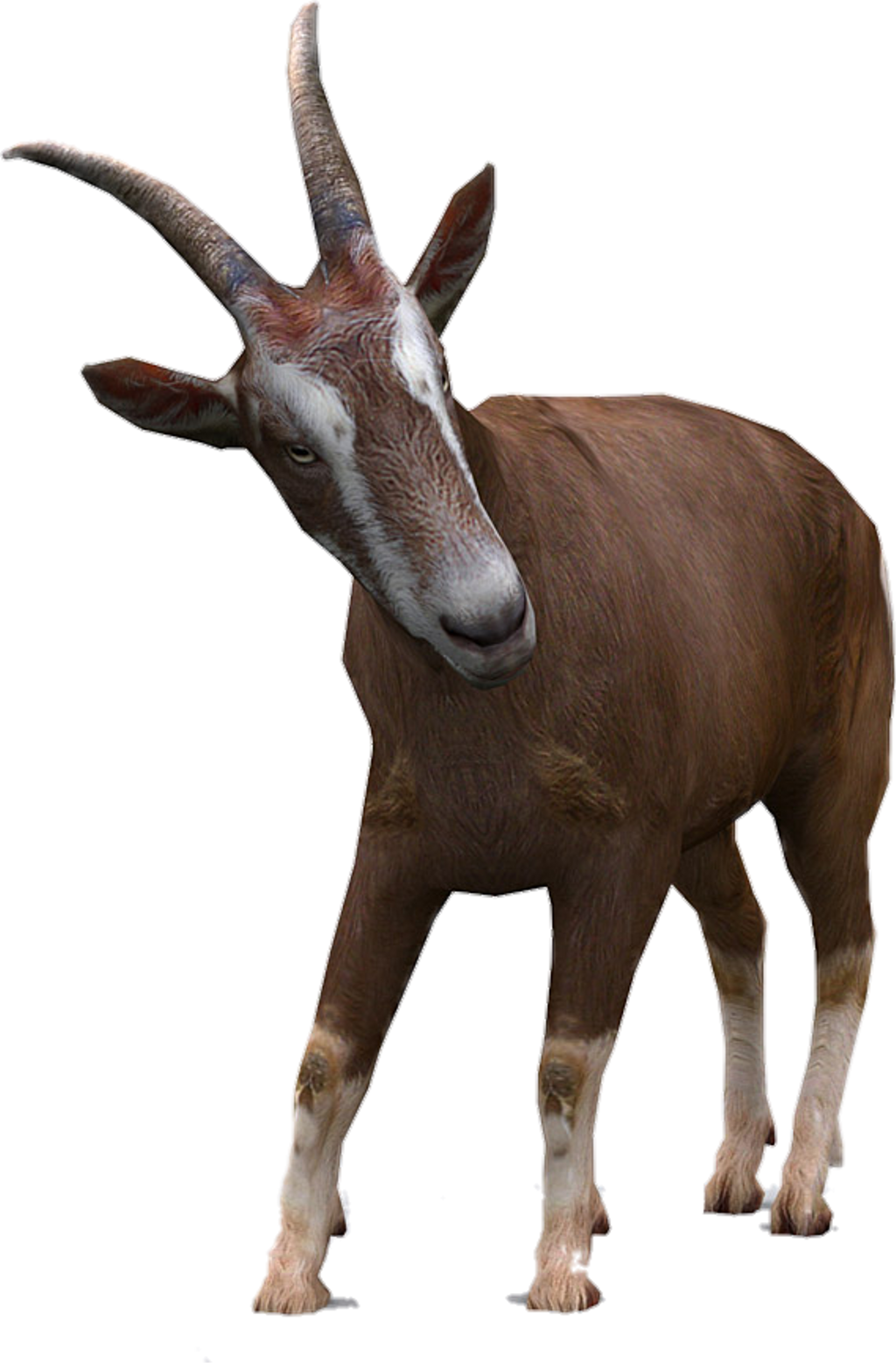 Download Goat Sticker - Full Size PNG Image - PNGkit