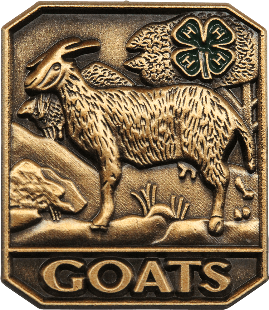 Download Goats Pin - Goats - Full Size PNG Image - PNGkit