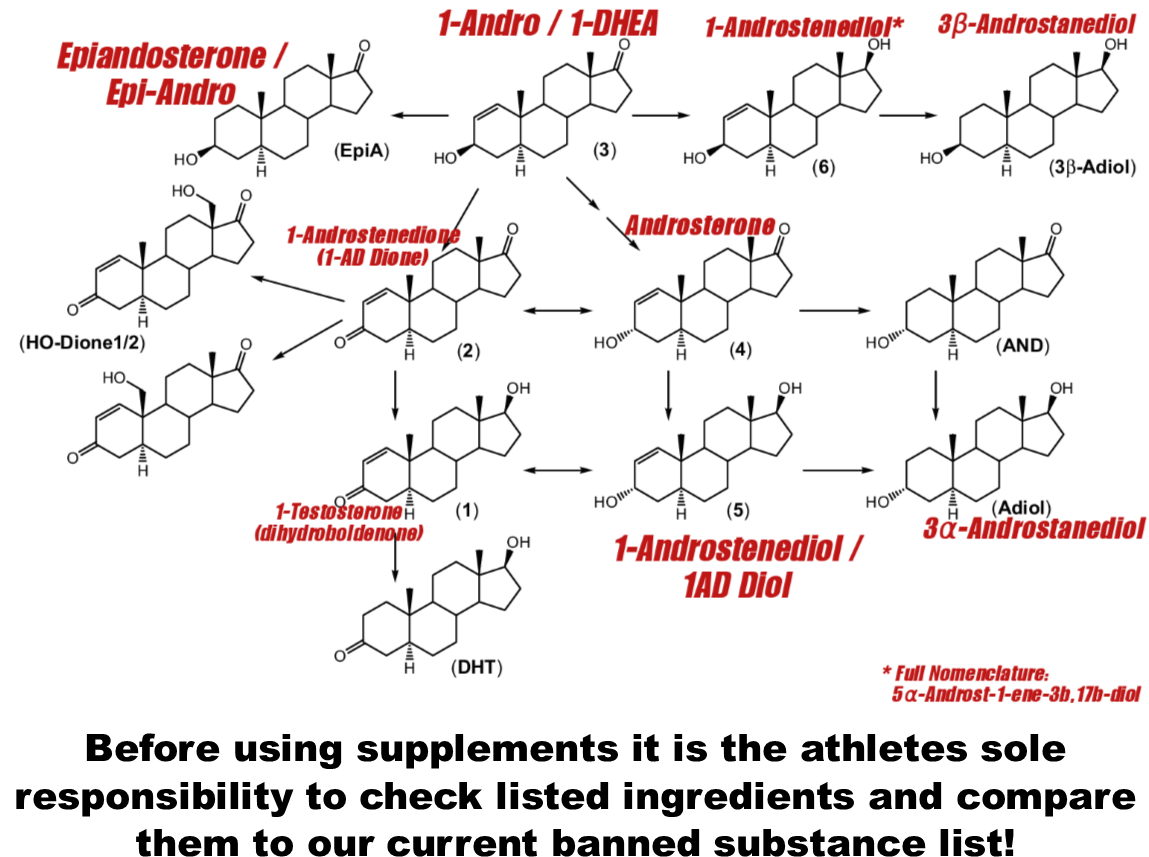 Download Inbf Wnbf Banned Substance List You Have Been Warned - Banned ...
