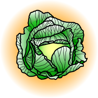 Download Image - Cabbage - Cabbage Clip Art - Full Size PNG Image - PNGkit