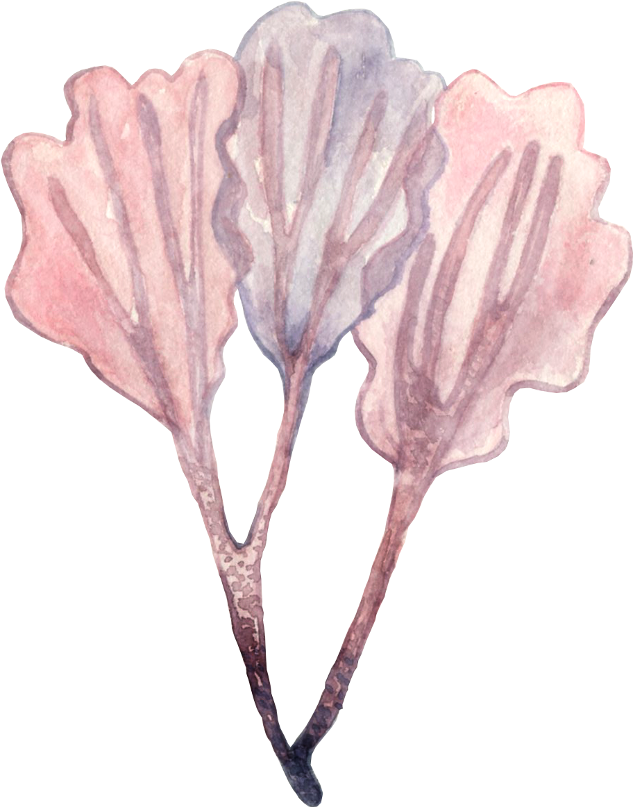 Download Pages - See Weed Drawing Transparent - Full Size PNG Image ...